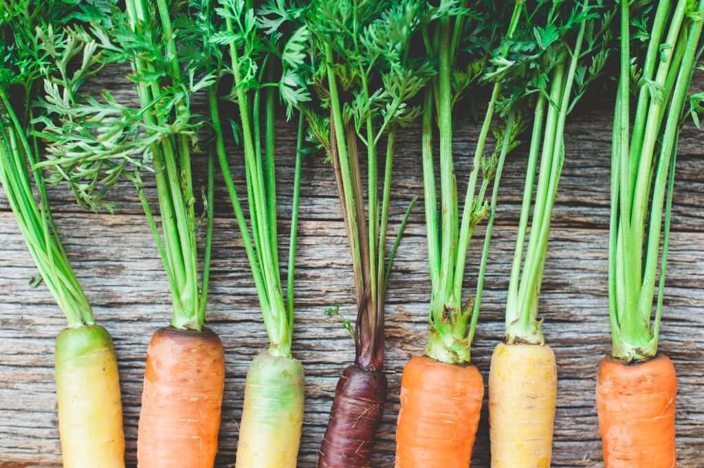 The Versatile Carrot - Chef Kim